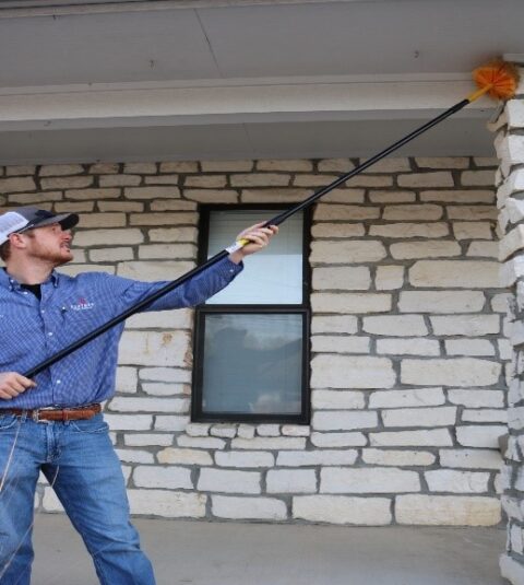 Pest Control | Hartman Pest Control